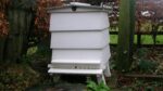 New to Beekeeping? 10 Hive Styles You Need to Know