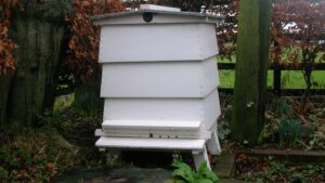 New to Beekeeping? 10 Hive Styles You Need to Know