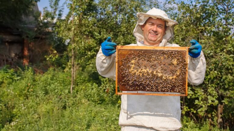 Bee-Ready: 15 Tips Every New Beekeeper Should Know