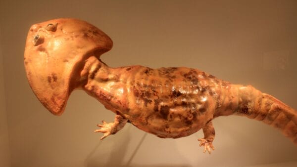 10 of the Weirdest Extinct Animals You've Never Heard Of