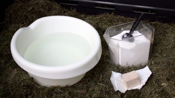 18 Composting Tips Every Beginner Needs to Turn Scraps into Garden Gold