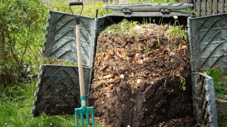 18 Composting Tips Every Beginner Needs to Turn Scraps into Garden Gold