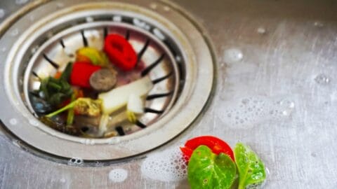 Kitchen Sink Odors? Here’s What’s Causing Them & How to Get Rid of It