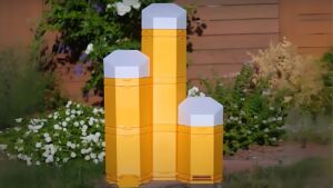 New to Beekeeping? 10 Hive Styles You Need to Know