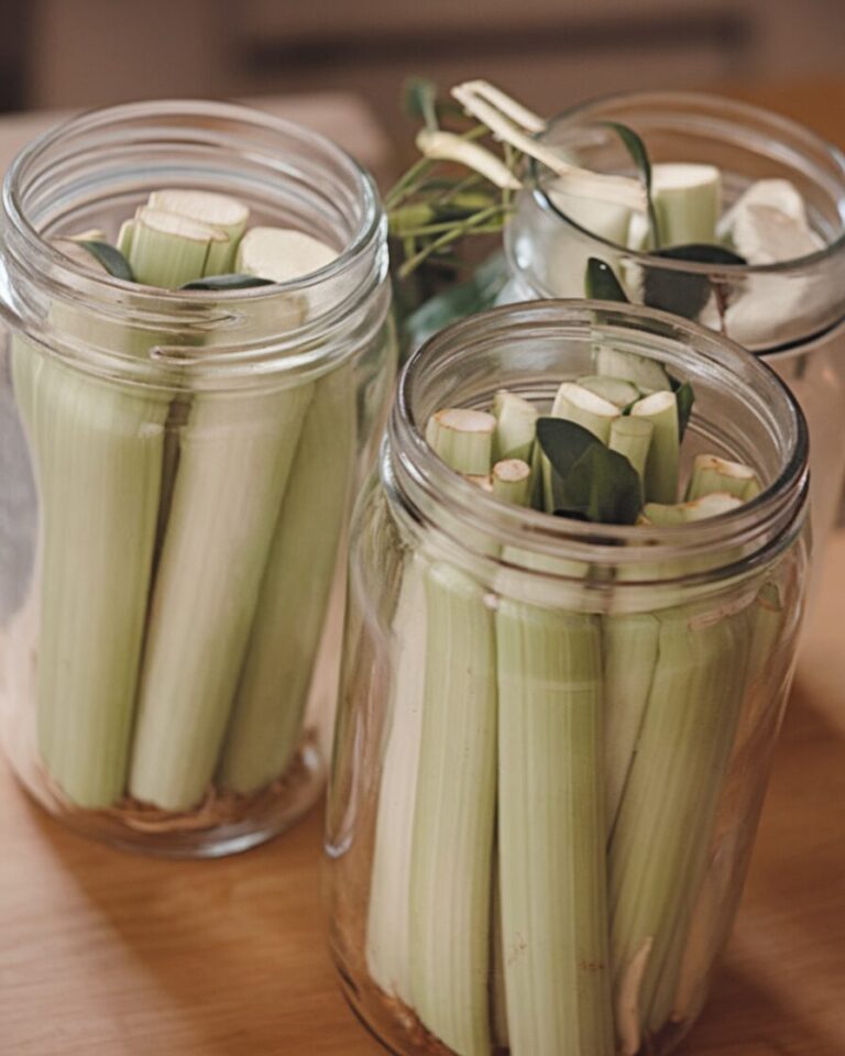 Cattail Cuisine: 8 Tips to Forage & Enjoy this Wild Edible