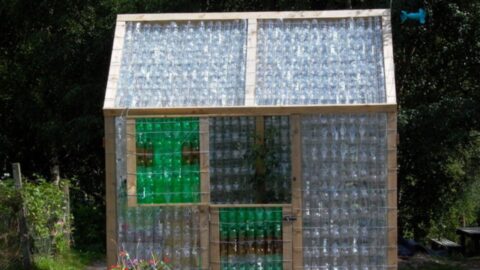 20 Creative Ways to Reuse Plastic Bottles in Your Home, Garden & Crafts