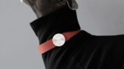 A Collar That Lets Your Dog 'Speak'? Shazam Band's AI Tech Could Change ...