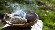 Ancient Ritual Meets Modern Science: Sage Smudging's Impact on Indoor ...