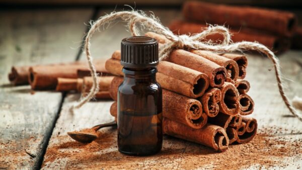 Say Goodbye to Fleas with These 15 Powerful Natural Repellents