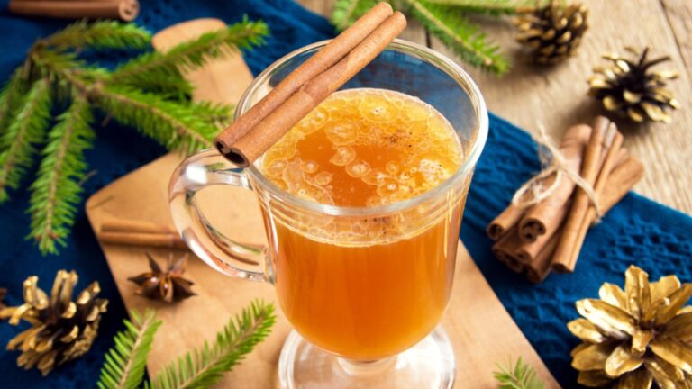 20 Fun & Tasty Christmas Mocktails to Try