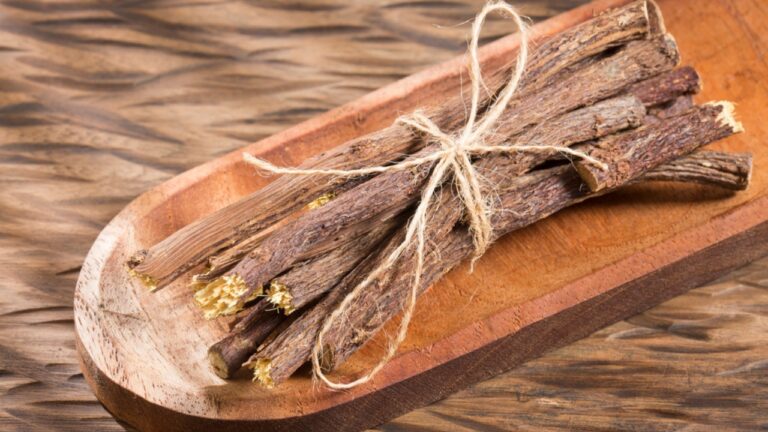 Boost Lung Health with These 12 Healing Plants & Herbs