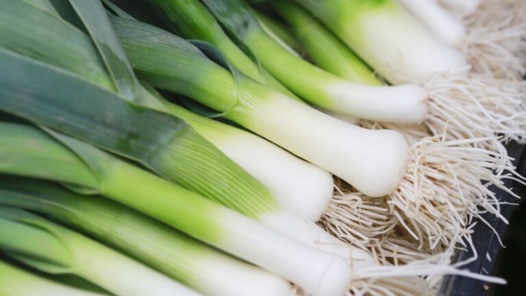 Free Food Forever: 20 Vegetables That Keep Growing Back