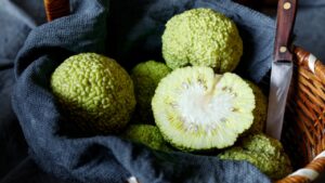 9 Creative Uses for Hedge Apples Around Your Home