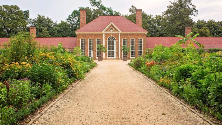 George Washington’s 20 Crops Shaped U.S. Farming Forever