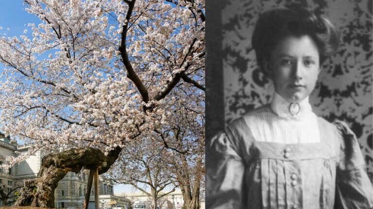 15 White House Trees Rooted in Love, Loss, and Legacy