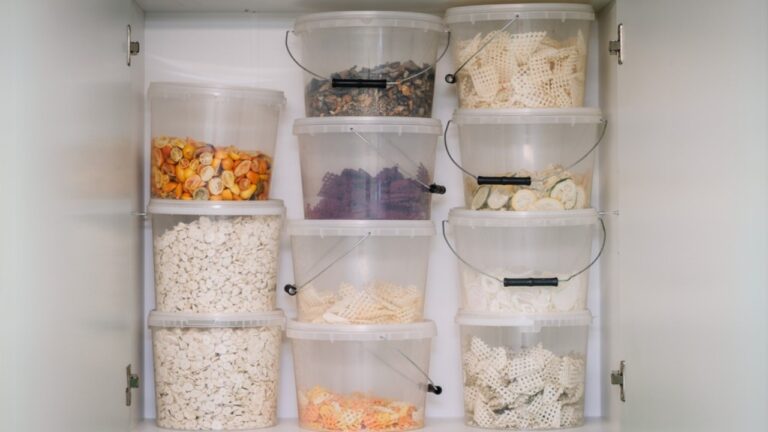 15 Skills to Master Before Starting Your Dream Homestead
