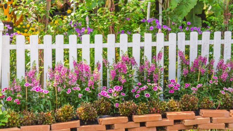 15 Plants That Transform Fence Lines Into Living Masterpieces