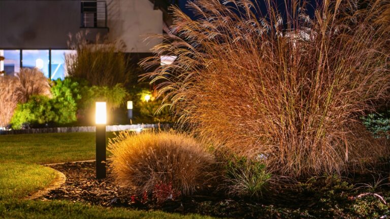 No Fence Needed: 12 Tall Ornamental Grasses for Perfect Privacy