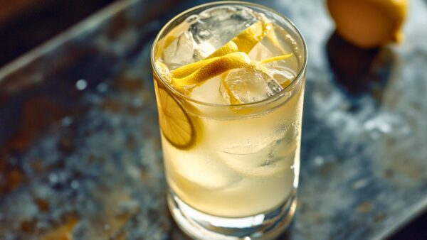 Simple Vodka Collins Recipe for Cocktail Lovers