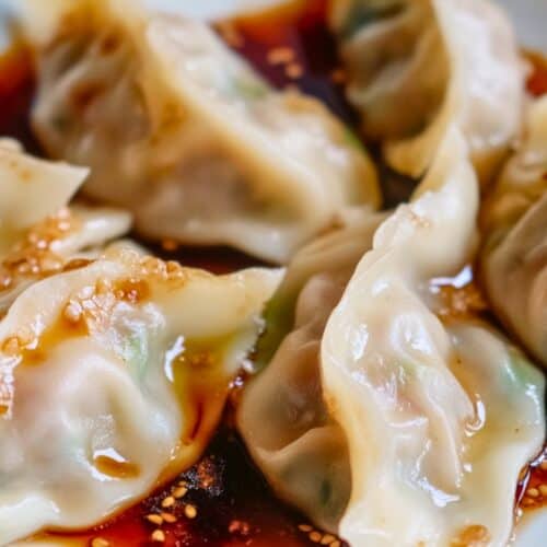 Pork Dumplings You’ll Make Again & Again